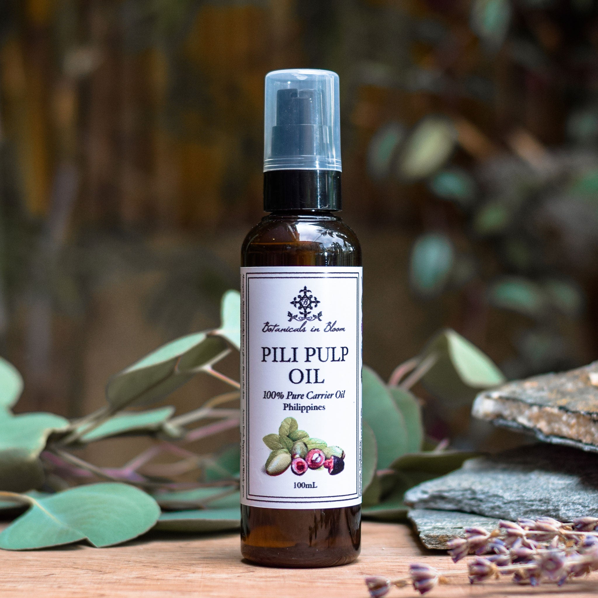 Buy Pili Pulp Oil in the Philippines – Botanicals in Bloom